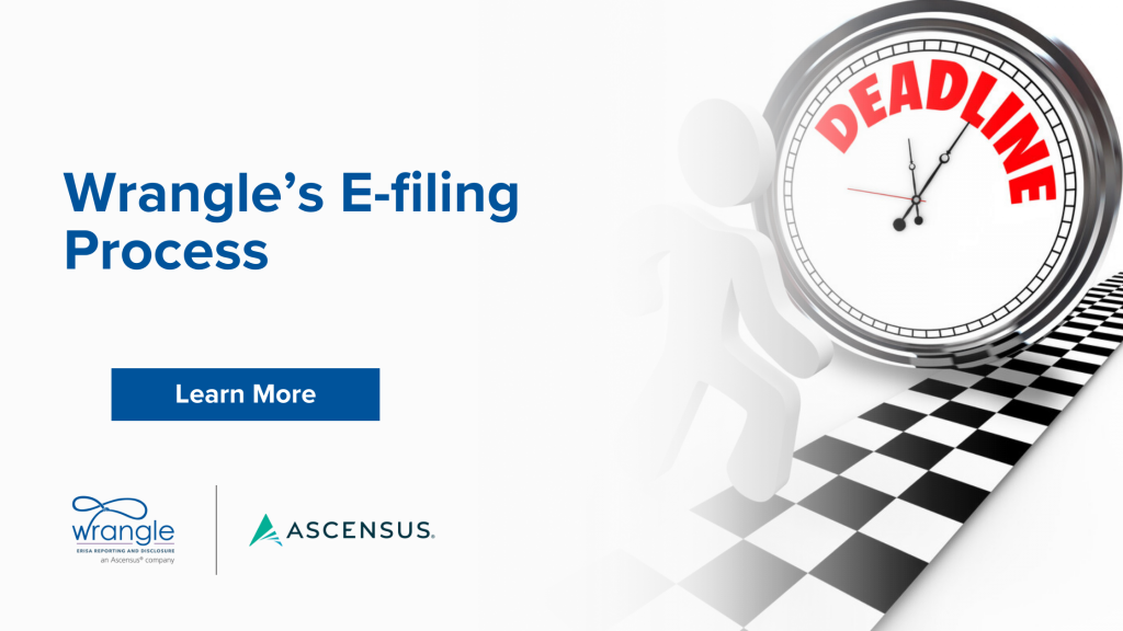Wrangle's E-filing Process - Wrangle 5500: ERISA Reporting and Disclosure